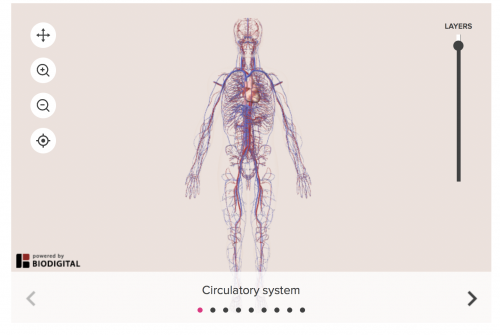 Body Maps with Healthline - A Helpful Resource - james